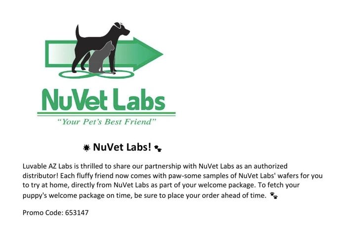 NuVet Labs